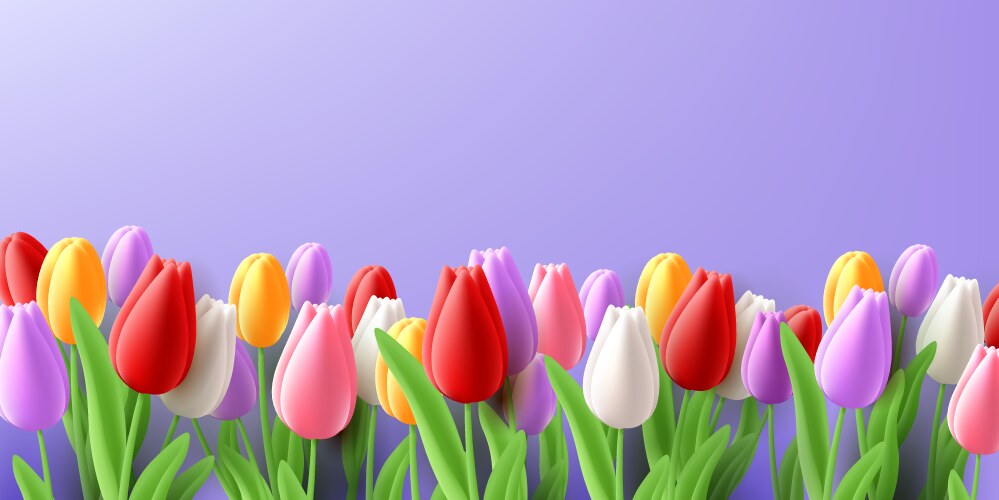 Tulip border Vector Images & Graphics for Commercial Use | VectorStock