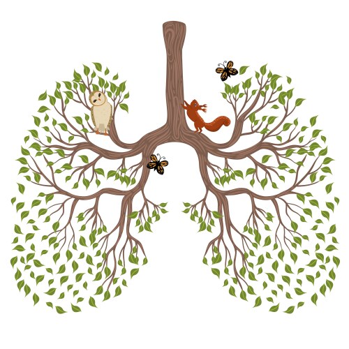 Lhealthy lungs with foliage Royalty Free Vector Image