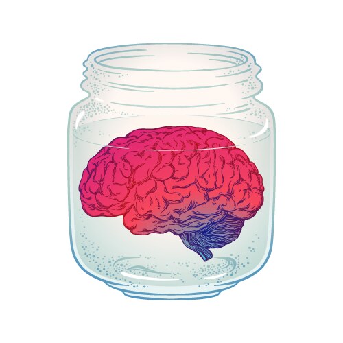 Human brain and eyes in the jar Royalty Free Vector Image