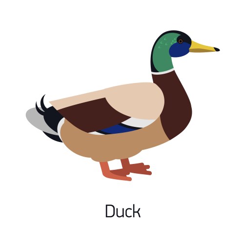 Duck Side View Vector Images (over 250)