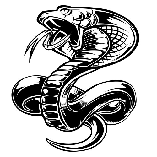 Cobra Vector Images (over 13,000)