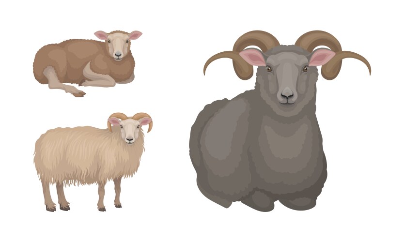 Ruminant Vector Images (over 1,100)
