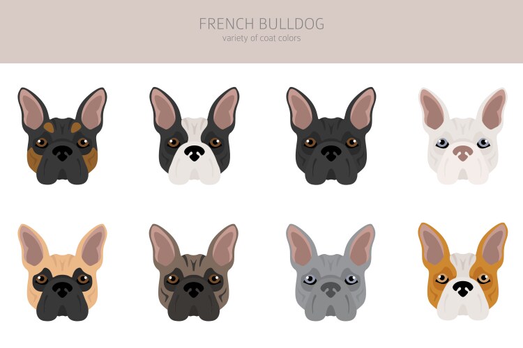 Frenchie Vector Images (over 660)