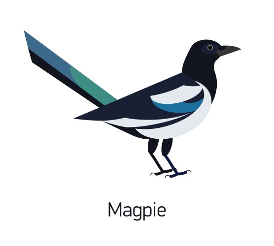 Magpie Vector Images (over 1,300)