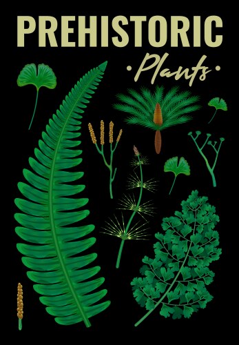 Prehistoric Plant Vector Images (over 2,100)