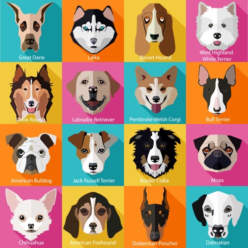 Hand drawn cute dog face characters set Royalty Free Vector