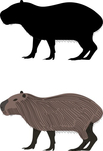 Capybara Vector Images (over 1,800)