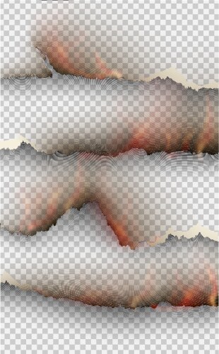Set hole torn in ripped paper with burnt Vector Image