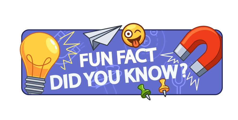 Vibrant cartoon did you know math fact banner Vector Image