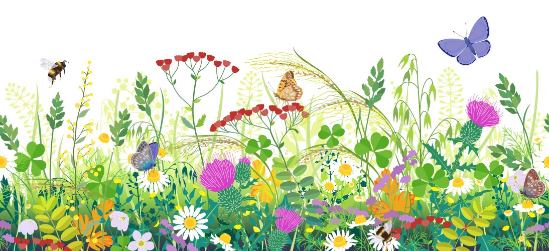 Nature Border Vector Images (over 210,000)