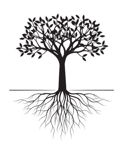 White tree with root on black background Vector Image