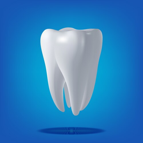 Tooth background Royalty Free Vector Image - VectorStock
