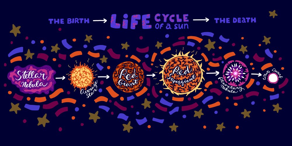 Life Cycle Vector Images (over 15,000)