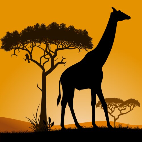 Giraffe Vector Images (over 41,000)