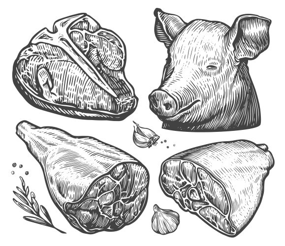 Raw meat set drawing hand drawn beef steak Vector Image