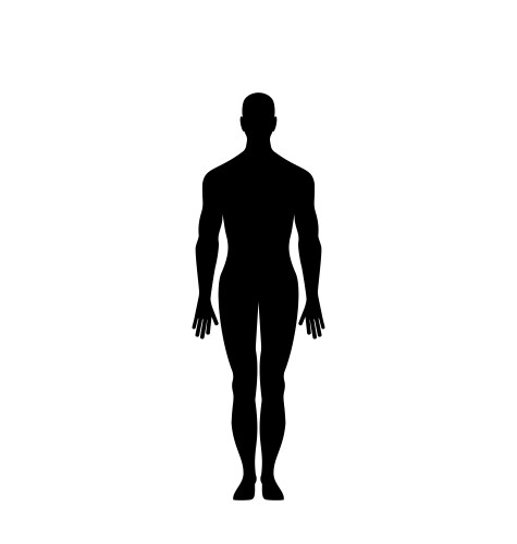 Human Silhouette Vector Images (over 360,000)