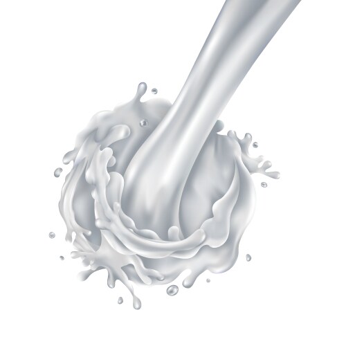 Milk splash circle on a white background Vector Image