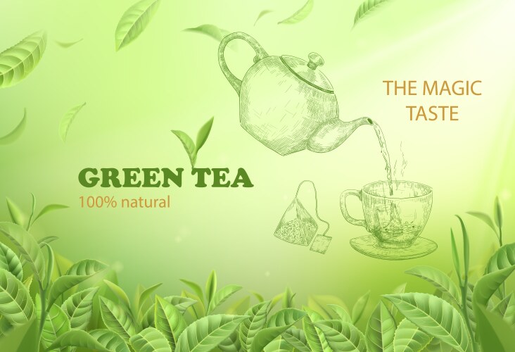 Tree Plantation Banner Vector Images (over 610)