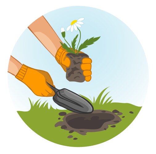 Human hand planting seed into soil pile of ground Vector Image