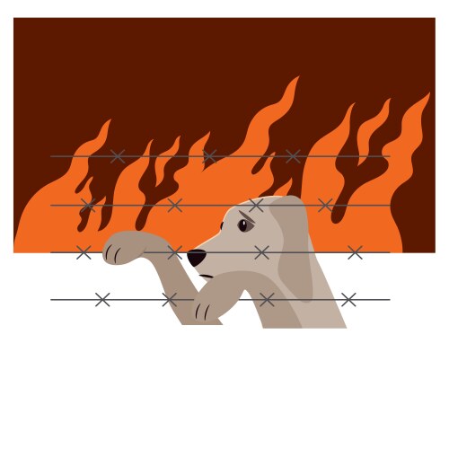 Dog on ruined houses background Royalty Free Vector Image