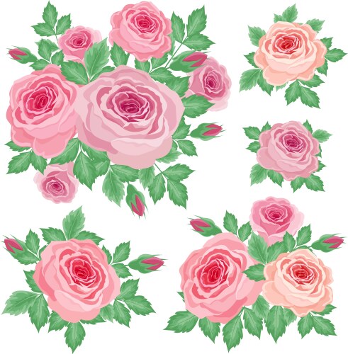 Beautiful border of roses Royalty Free Vector Image