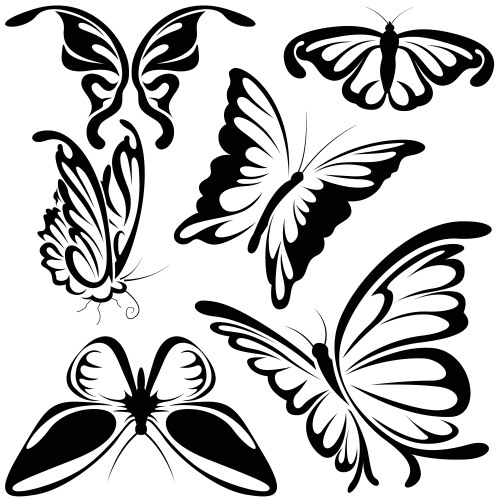 Flaming butterflies Royalty Free Vector Image - VectorStock