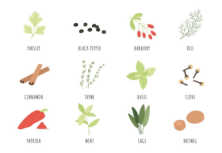 Herbs and spices icons Royalty Free Vector Image