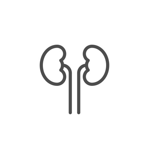Nephrology Vector Images (over 1,100)