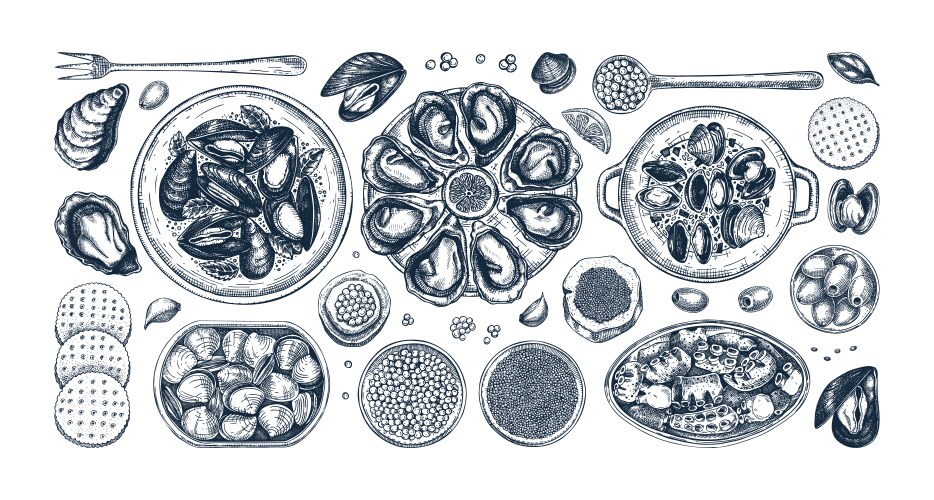 Clamshell Vector Images (over 280)