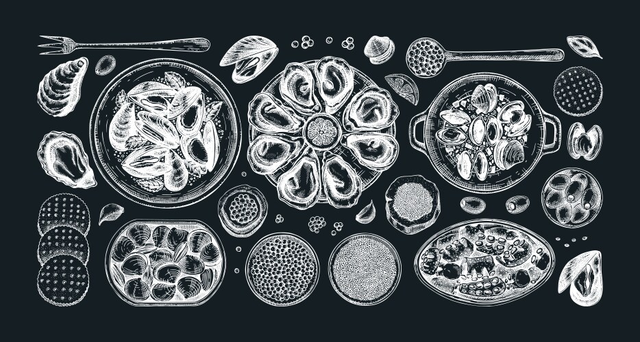 Clamshell Vector Images (over 280)