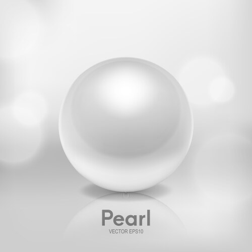 Realistic beautiful natural open sea pearl shell Vector Image