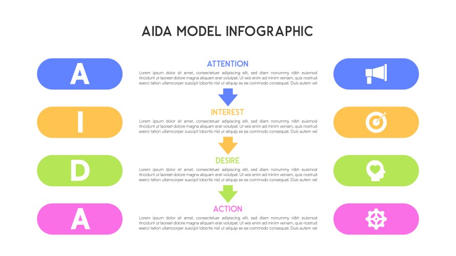Modern aida model infographic with color blocks Vector Image