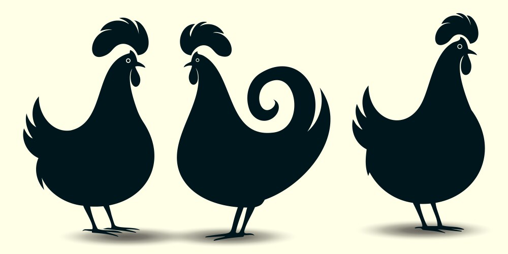 Broiler Chicken Vector Images (over 1,700)