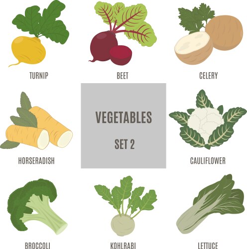 Vegetables Vector Images (over 580,000)