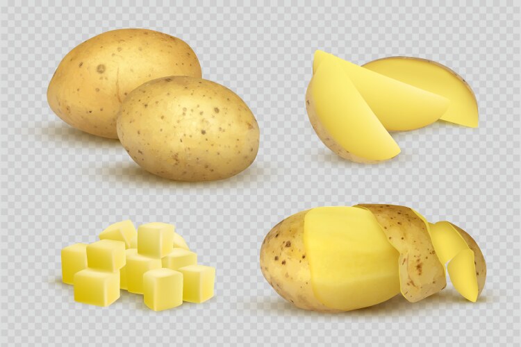 Potatoes Royalty Free Vector Image - VectorStock