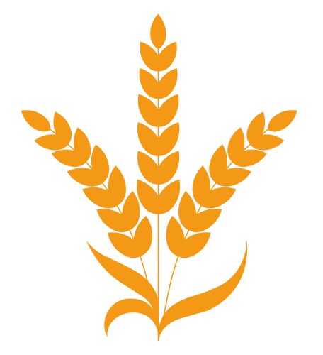 Wheat icon Royalty Free Vector Image - VectorStock