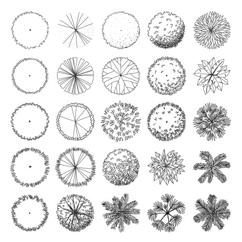 Tree Plan Vector Images (over 10,000)
