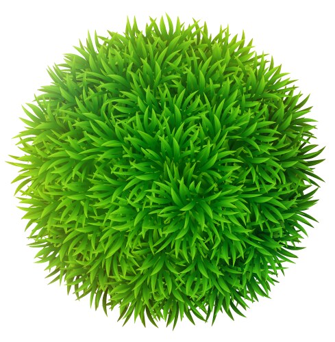 Grass circle 3d green plant grassy round field Vector Image