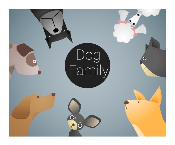 Animal website template banner and infographic Vector Image