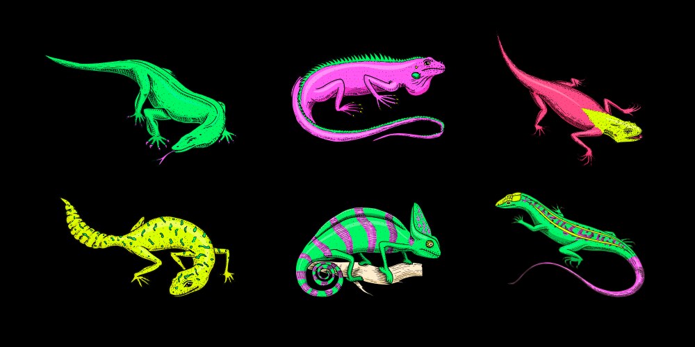Lizard Outline Vector Images (over 4,800)