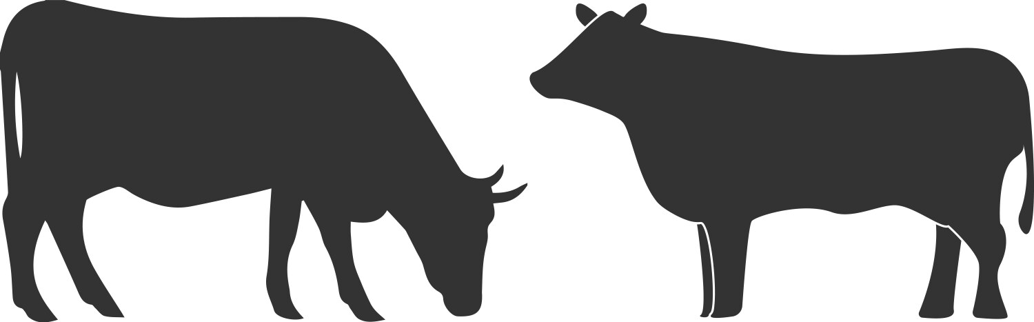 Angus cow logo Royalty Free Vector Image - VectorStock
