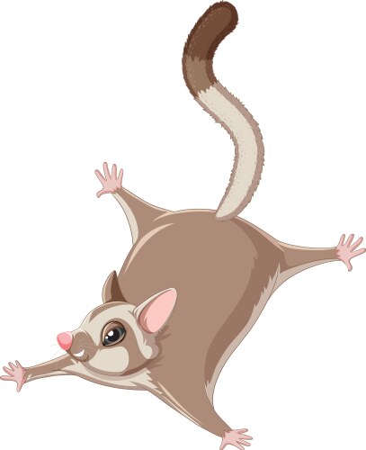 Sugar glider cartoon Royalty Free Vector Image