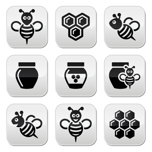 Honey Bee Vector Images (over 66,000)