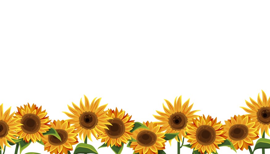 Sunflower Border Vector Images (over 1,800)