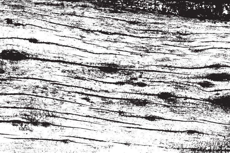 Grunge knotted wood texture Royalty Free Vector Image