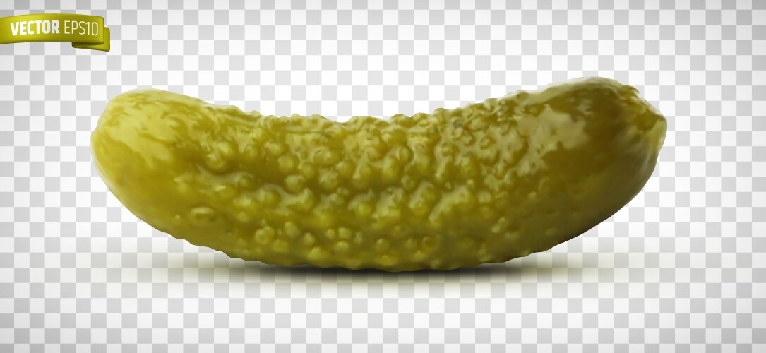 Pickle Vector Images (over 11,000)
