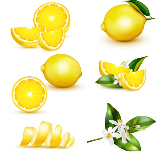 Lemon Vector Images (over 150,000)