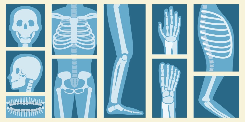 Human Body Vector Images (over 260,000)