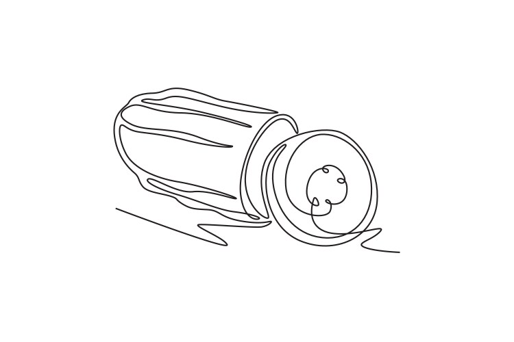 Ridge Gourd Vector Images (55)