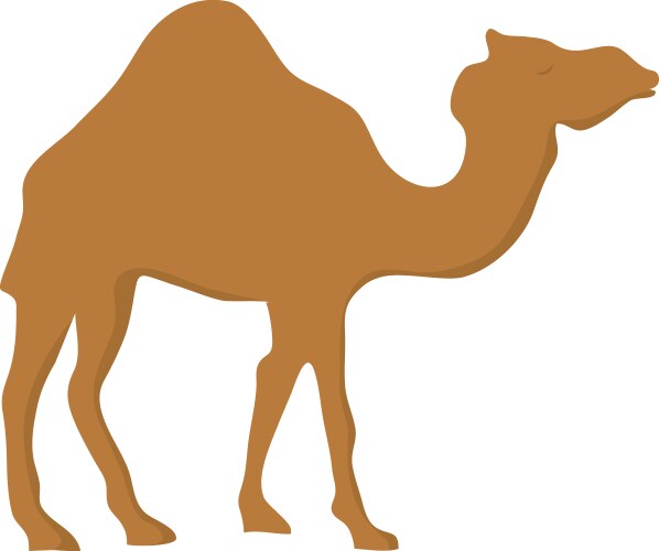 Cute camel cartoon Royalty Free Vector Image - VectorStock